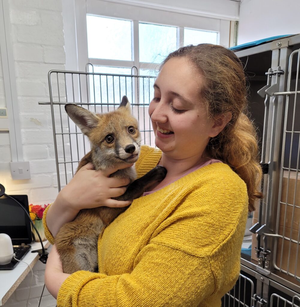 Wirral Fox Rescue | Meet The Team